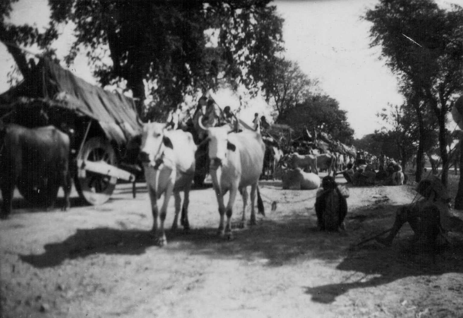 September 1947 : Punjab Relief Effort - JamesPuthucheary.org
